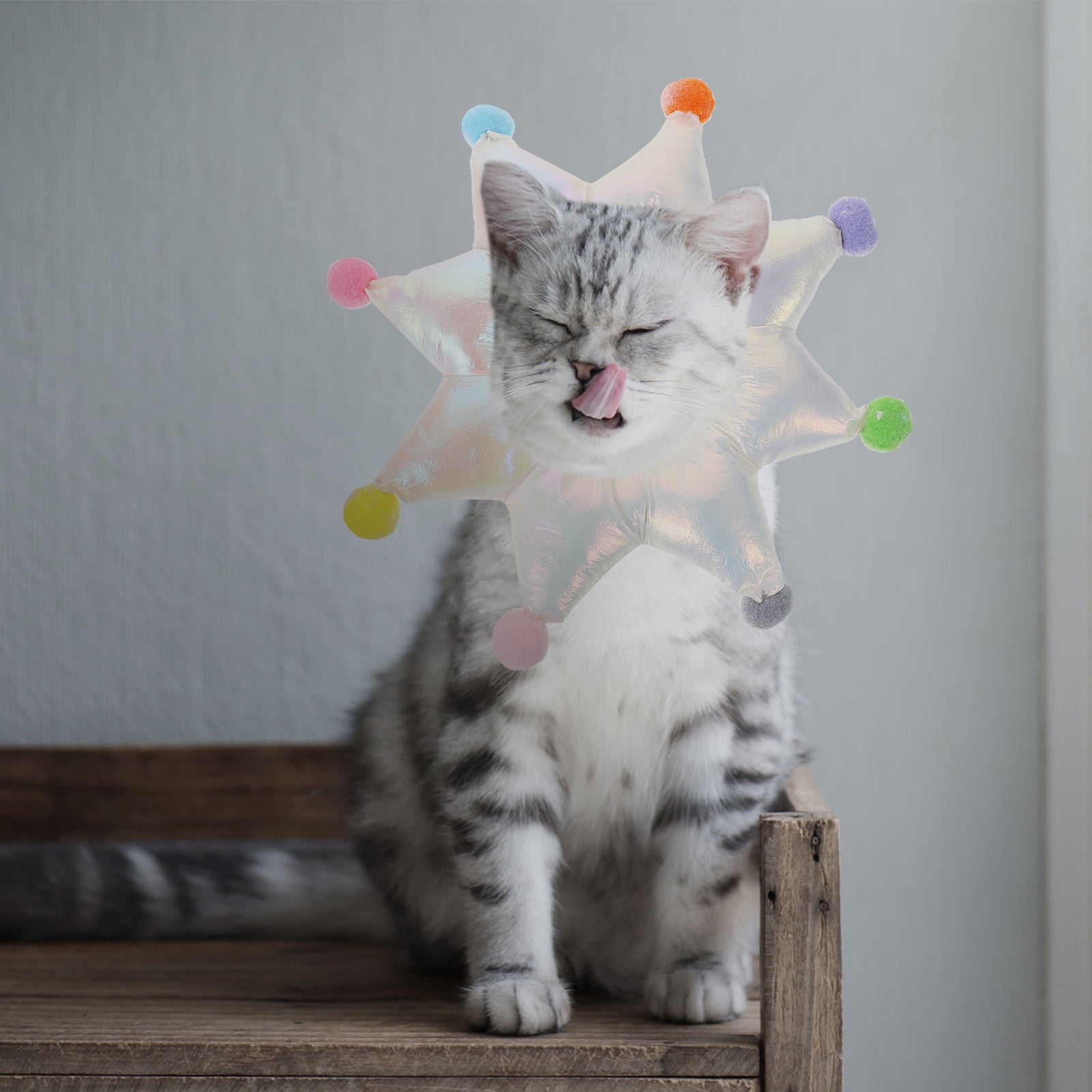 PBPBOX White Cat Recovery Collar for Pet Use Cloth Material Prevents ...