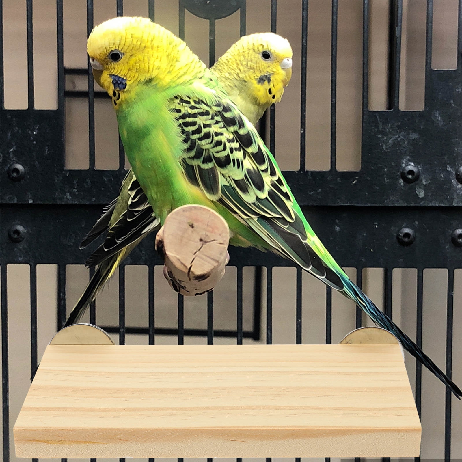 PBPBOX Wooden Parrot Feeding Perch Stylish Perch For Cockatiel And ...
