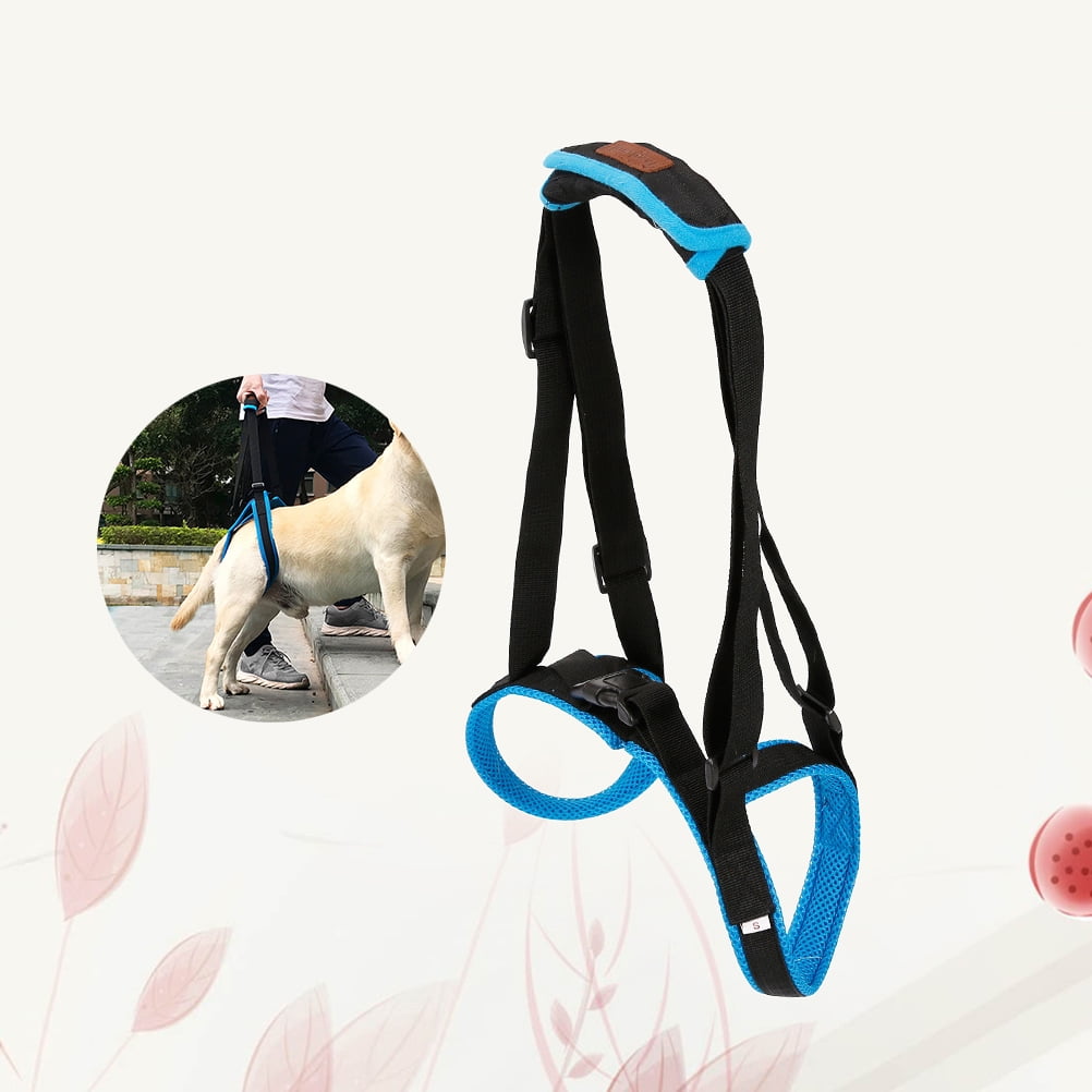 PBPBOX Blue Dog Support Belt Breathable Air Mesh Fabric for Elderly ...