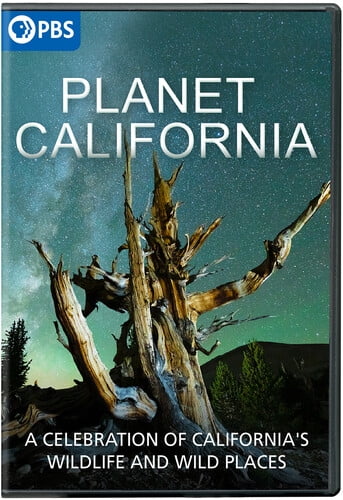 Californium Planet