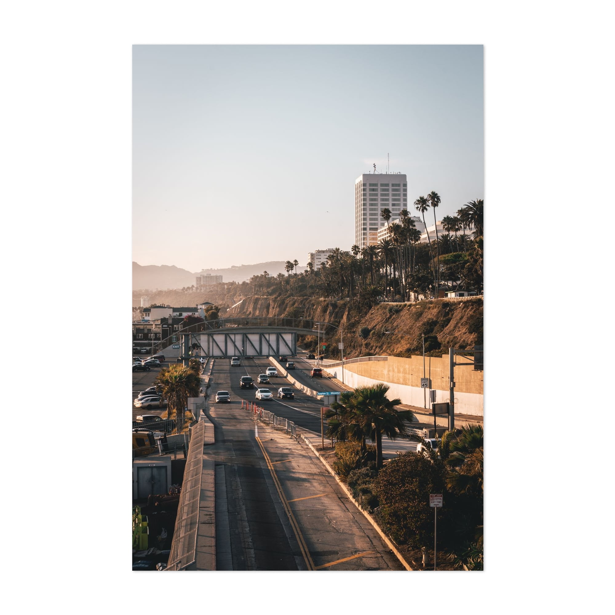 PCH, Santa Monica - Los Angeles California Photography Palm Tree ...