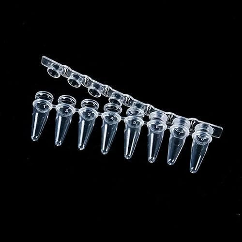 PCR Tubes with 0.2ml Thin Wall,Strip of 8 Tubes with Flat Caps,200 ...