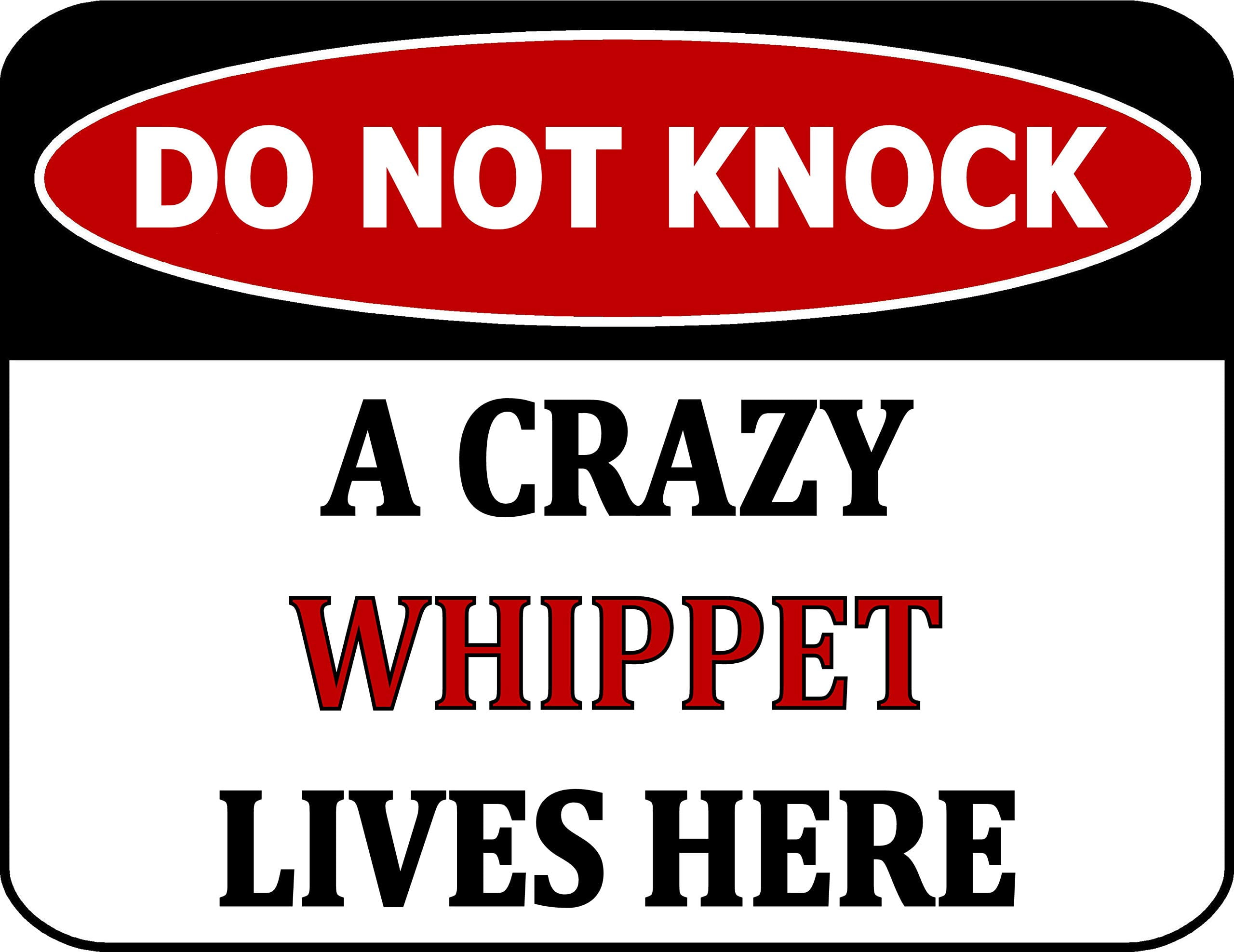 PCSCP Do Not Knock A Crazy Whippet Lives Here 11.5 inch 9 inch ...