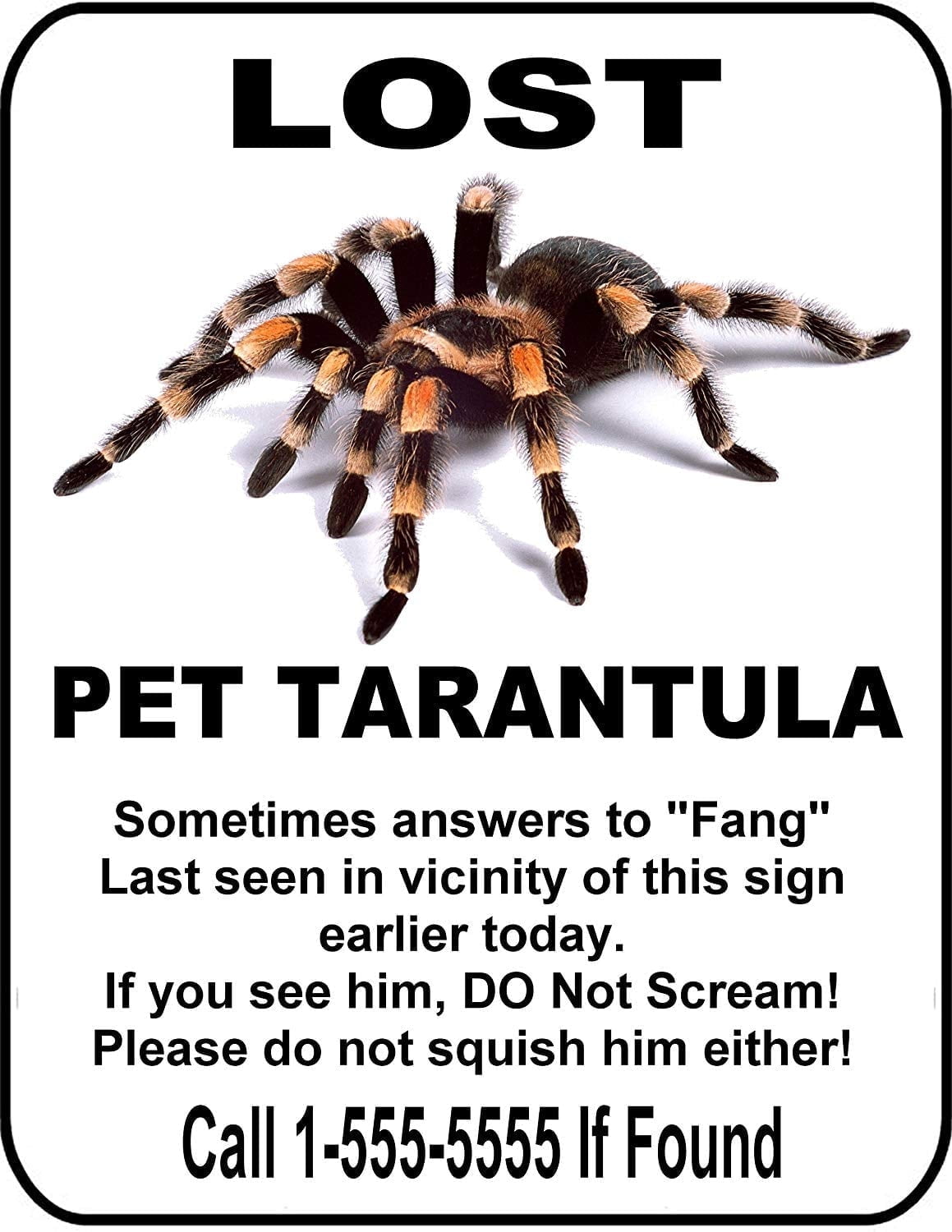 PCSCP Lost Pet Tarantula 9 inch by 11.5 inch Laminated Sign - Walmart.com