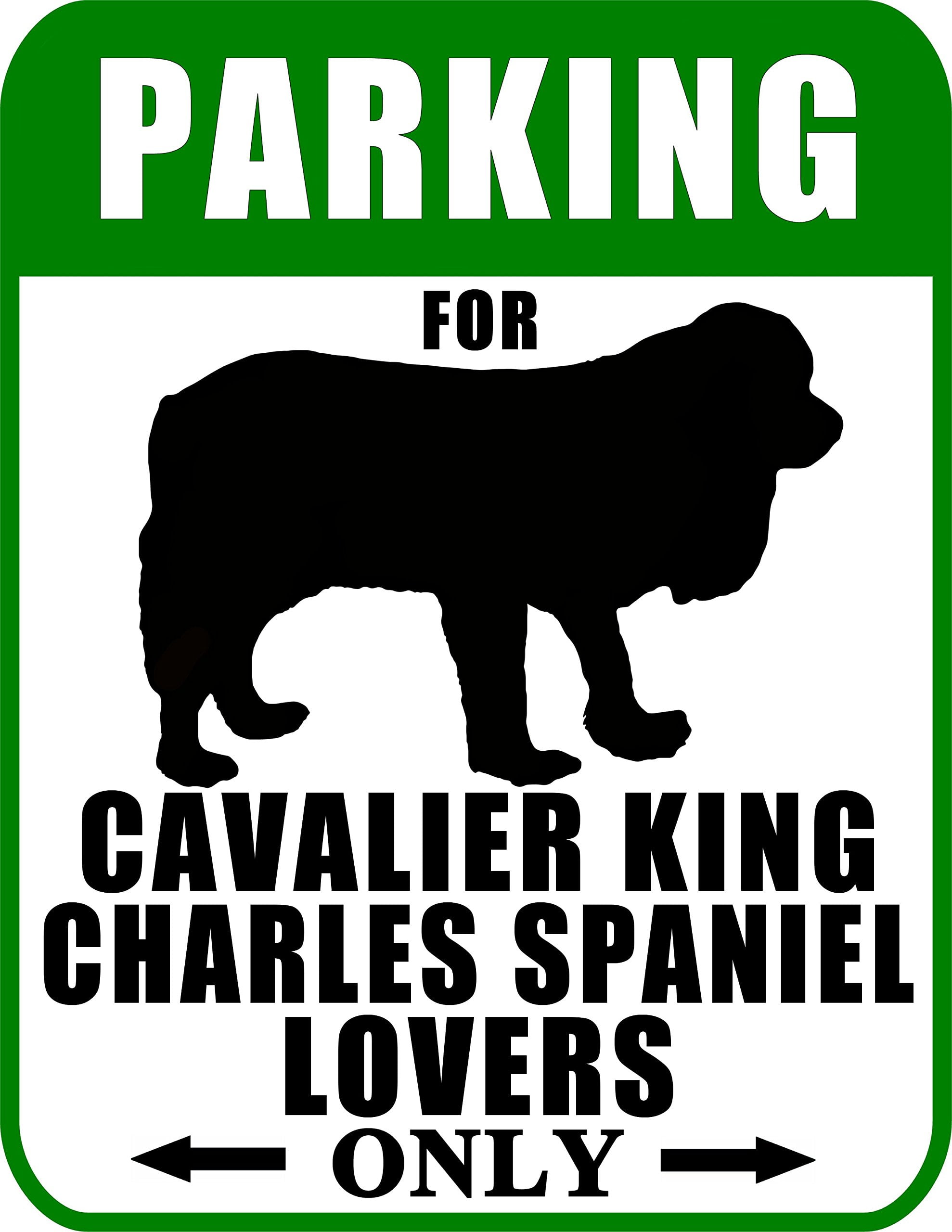 PCSCP Parking for Cavalier King Charles Spaniel Lovers Only 9" W x 11.5 ...