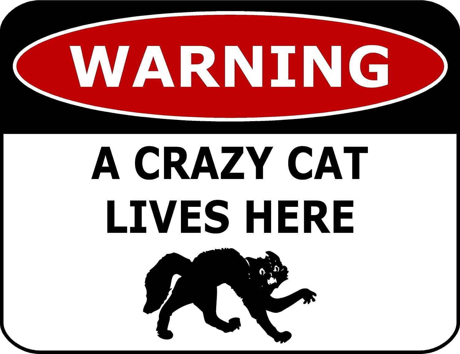 PCSCP Warning A Crazy Cat Lives Here 11 inch by 9.5 inch Laminated ...