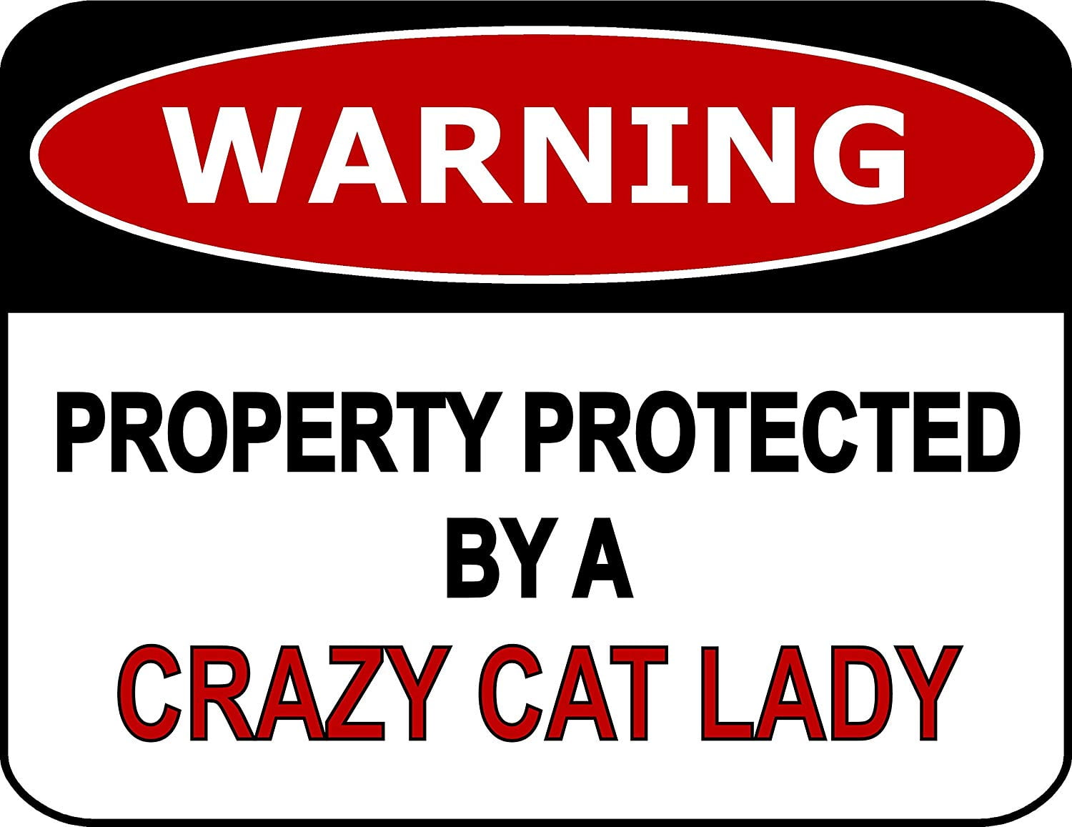 PCSCP Warning Property Protected by a Crazy Cat Lady Home Décor Style ...