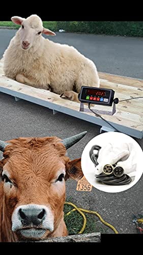 PEC Livestock Cattle Squeeze Chute Scale Kit for Pigs Goats Sheep 10 ...