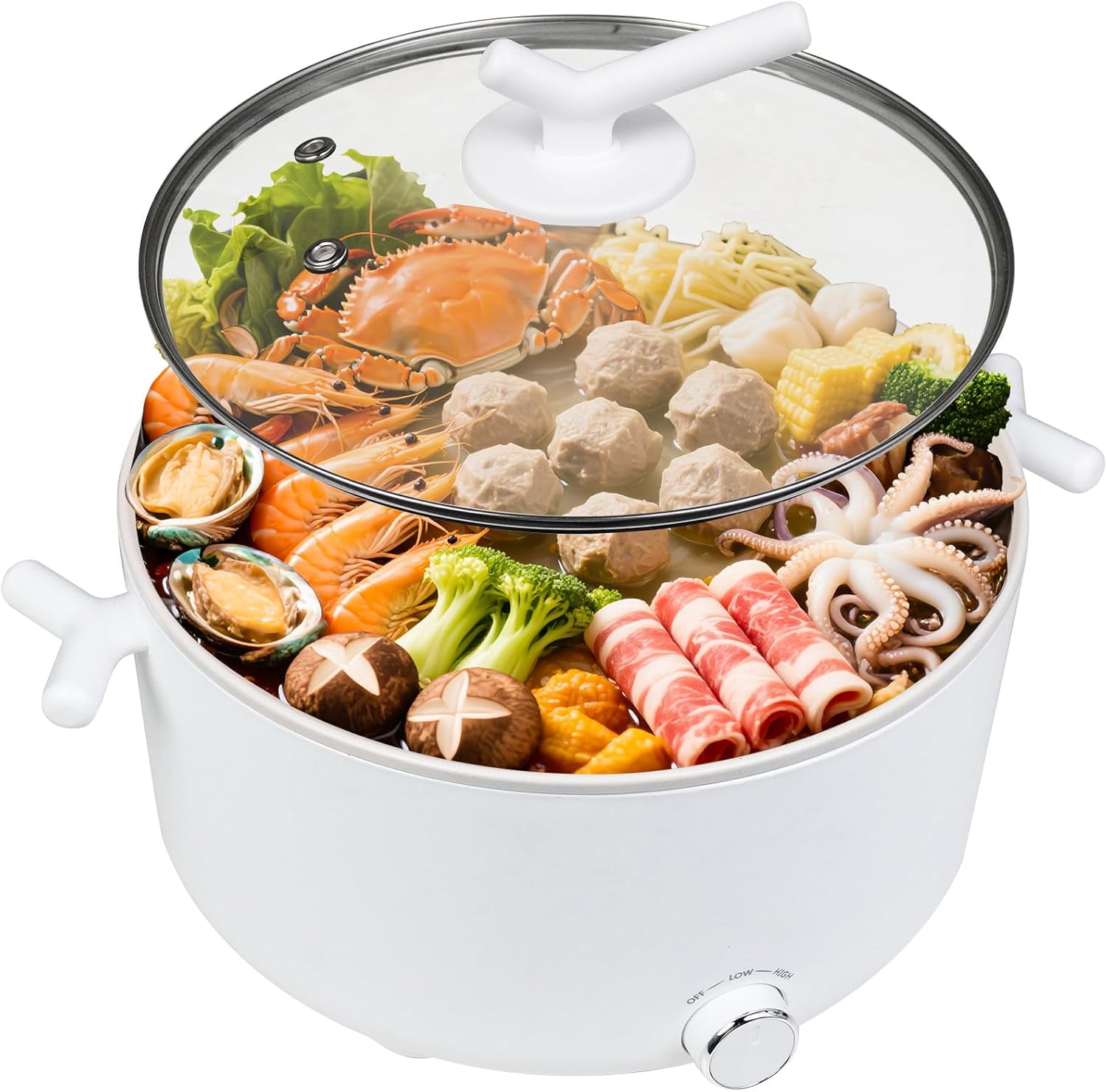 PENGFEI Electric Hot Pot, 3L Electric Pot with Non-Stick Coating, Dual ...