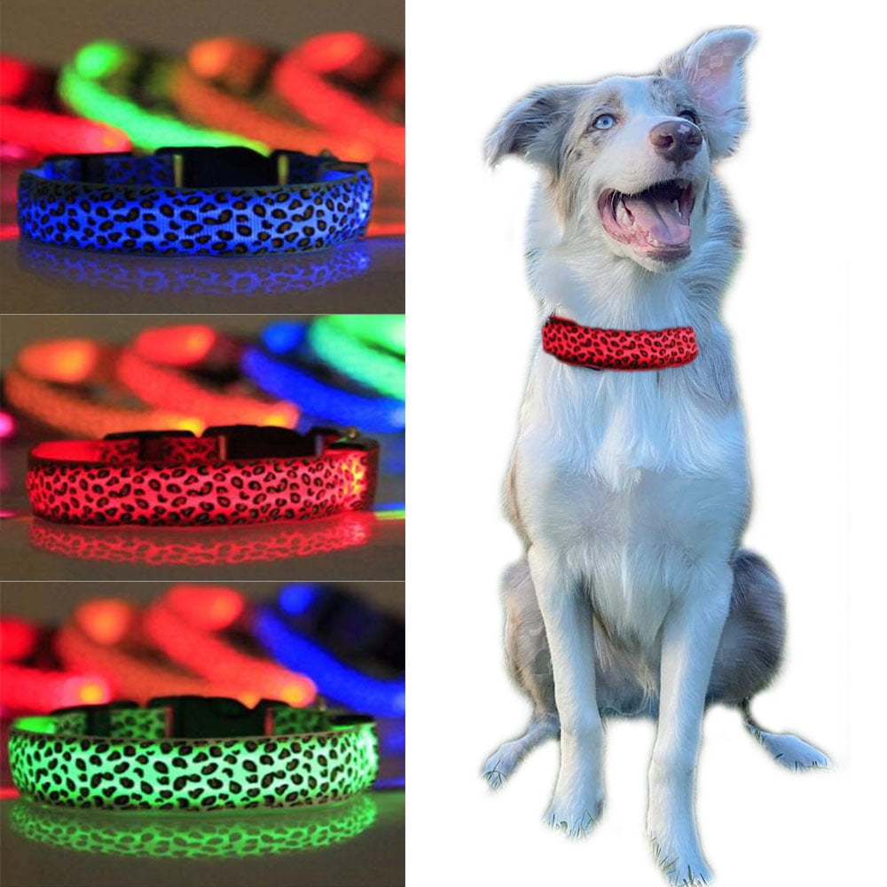 PENGXIANG LED Luminous Pet Dog Collar,Waterproof Reflective Fancy and ...