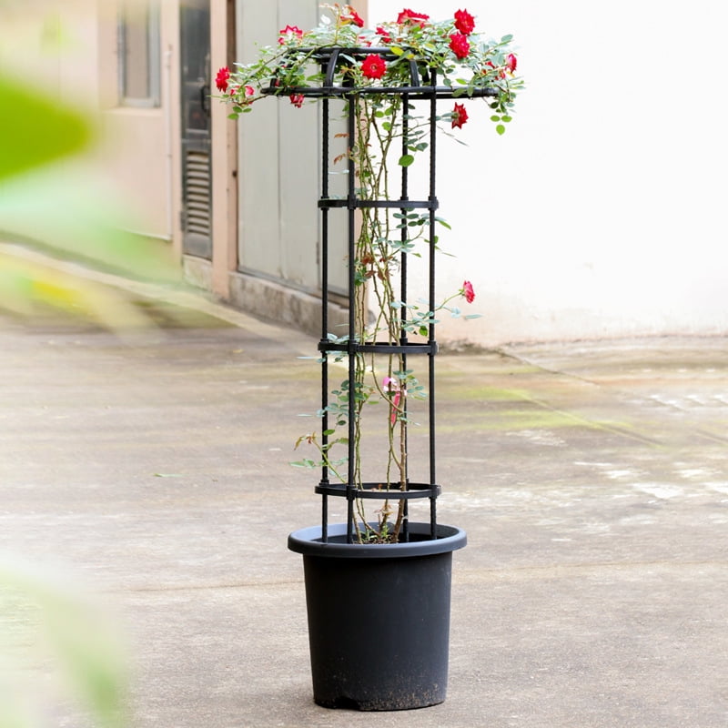 PENGYD Climbing Plants - Heavy Duty A-Frame Support for Tomatoes ...