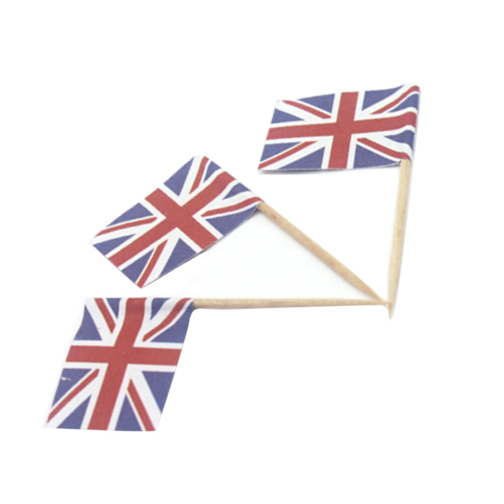 PENIKOKO 100Pcs Wooden Flag Toothpicks with Multi Color for Cake ...