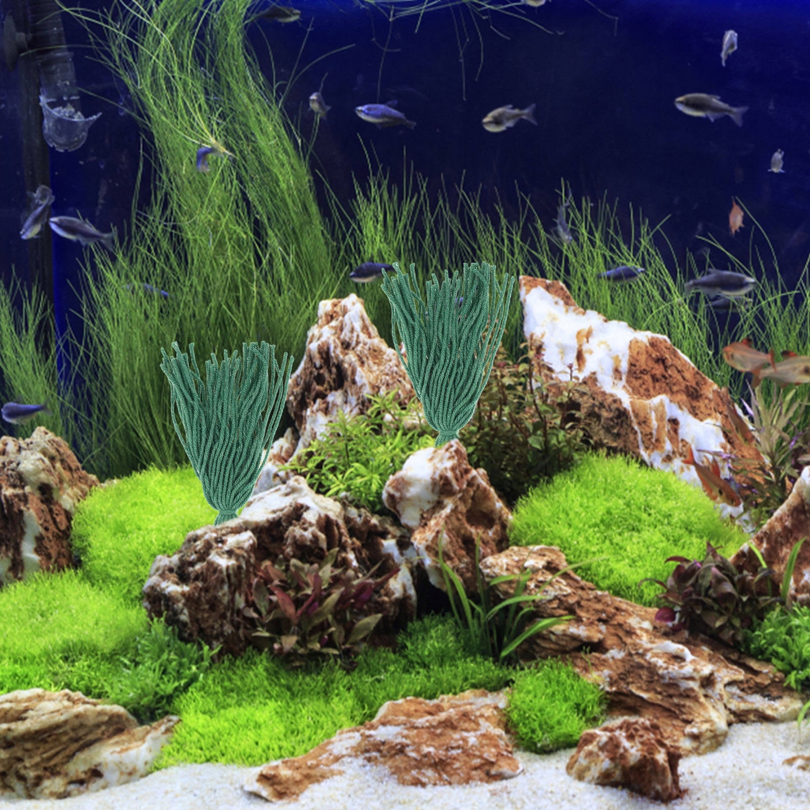 PENIKOKO 10Pcs Floating Spawning Mops for Aquarium Fish Breeding ...