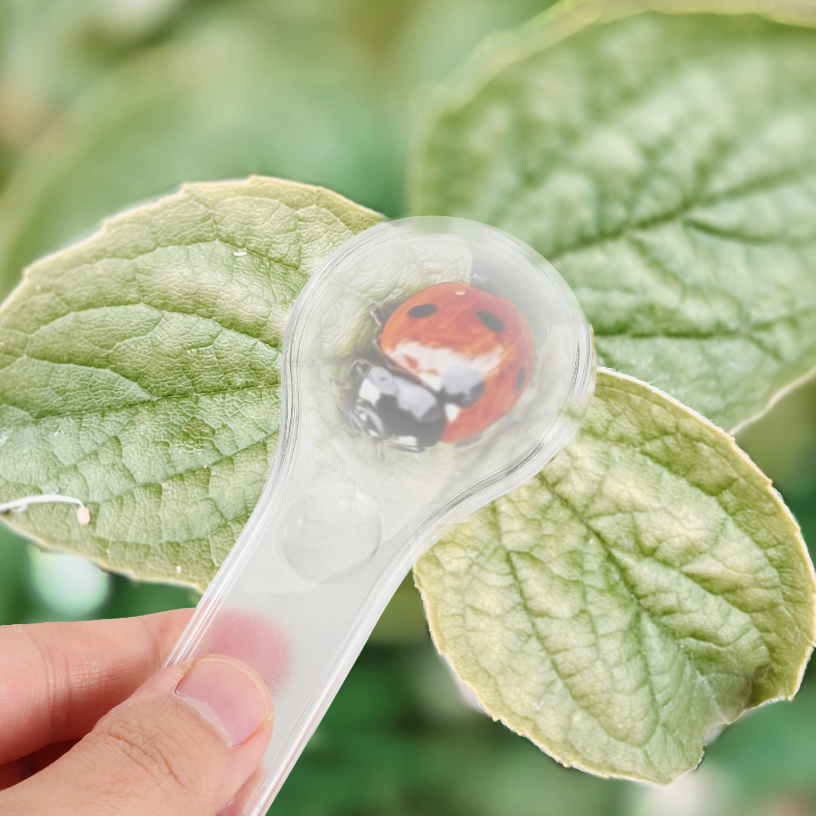 PENIKOKO 1Set Handheld Acrylic Magnifier Transparent Dual Lens Design ...