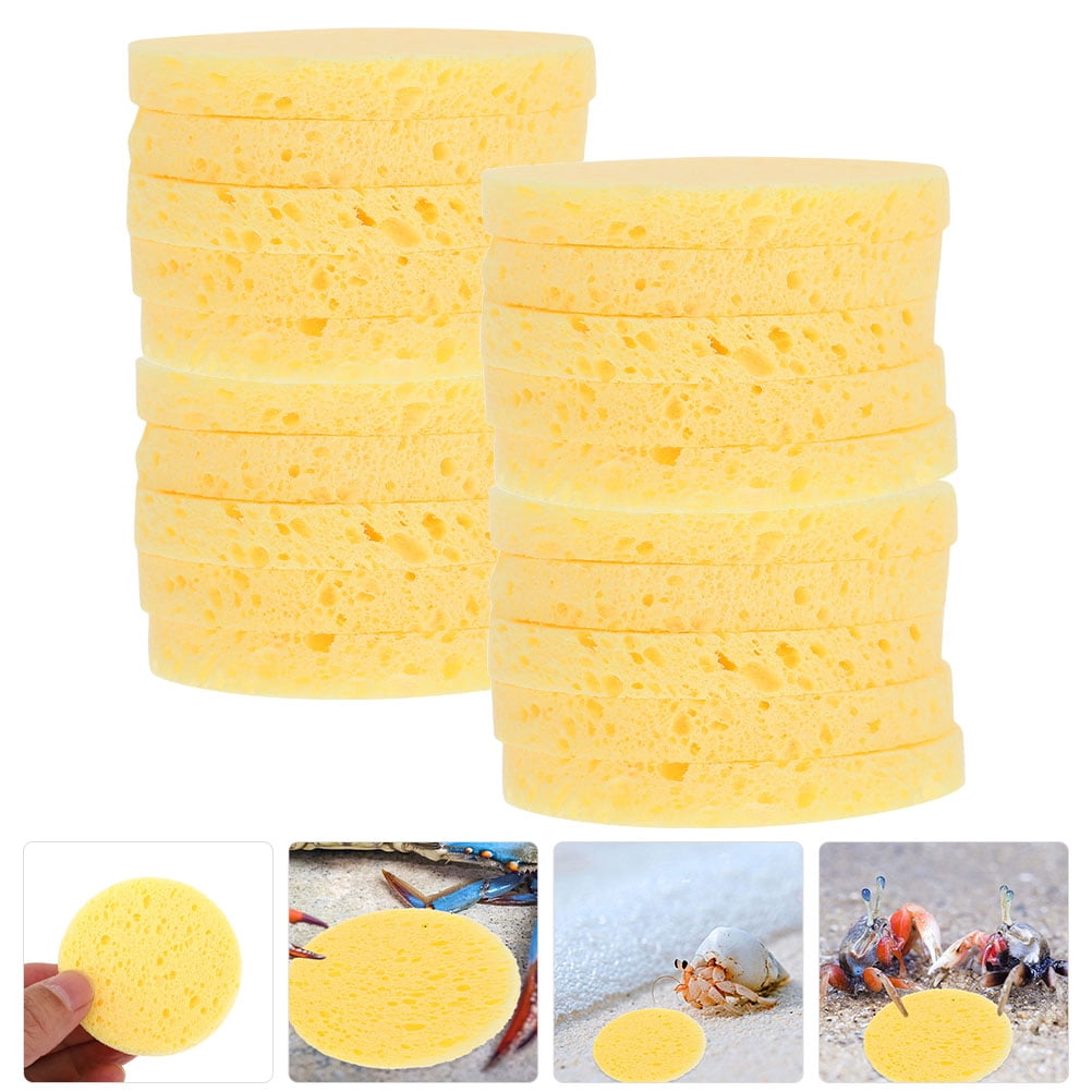 PENIKOKO 50Pcs Humidity Sponge for Crabs Wood Pulp Cotton Yellow ...
