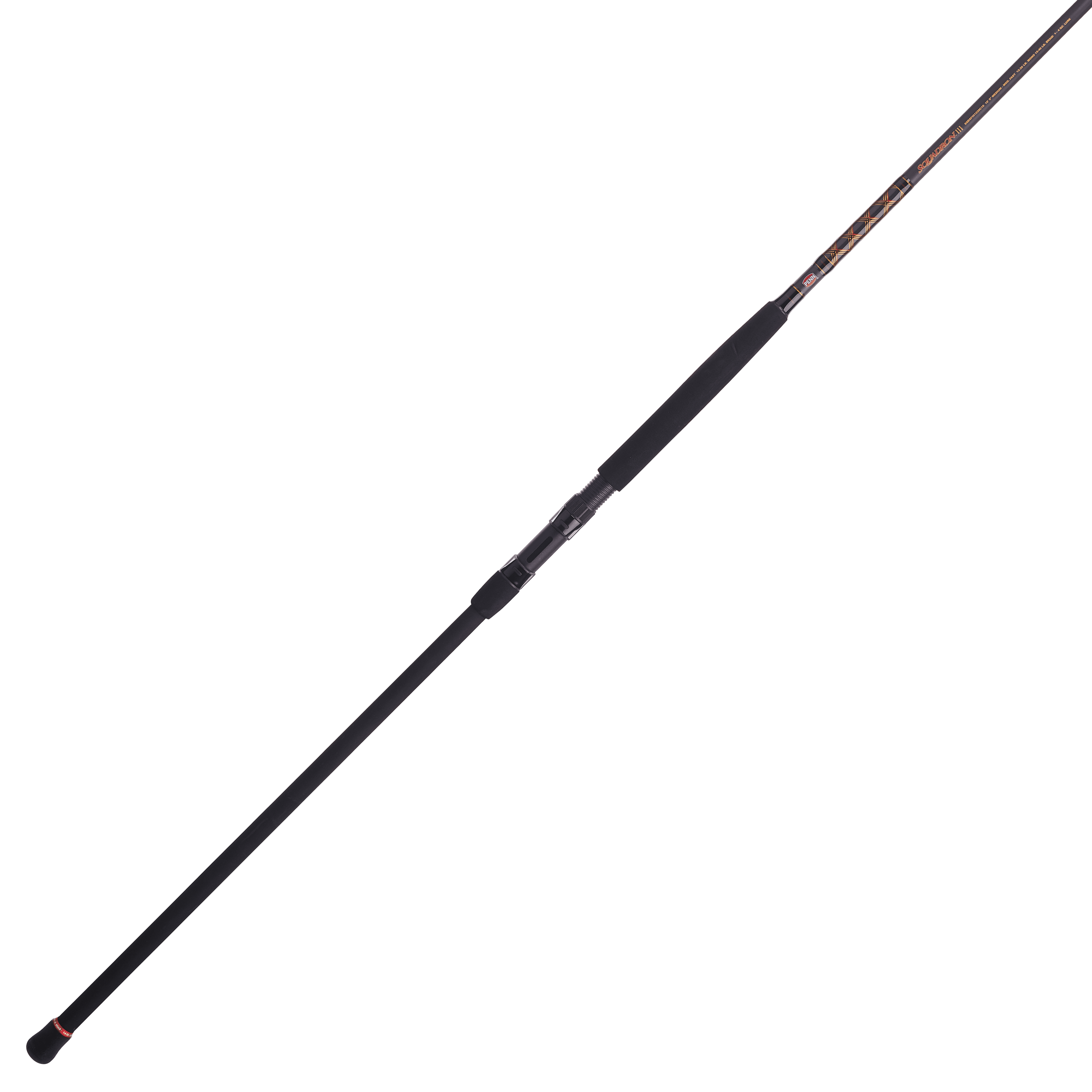 PENN Squadron® III Surf Conventional Rod, 10' Medium Fishing Rod, 2 ...