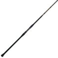 PENN Battalion™ II Surf Spinning Rod, 10' Medium Heavy Fishing Rod, 2 ...