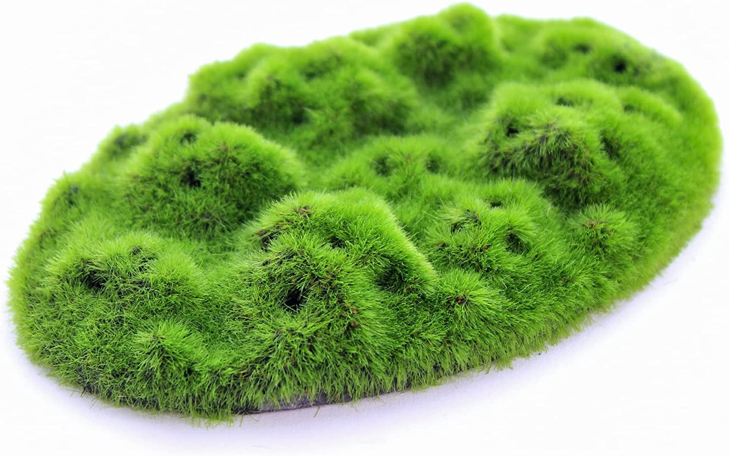 PENN-PLAX Aqua-Flora Aquarium Living Resin Decoration with Embedded ...