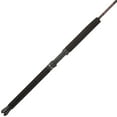 PENN Rampage® Jig Spinning Rod, 6'4" Medium Heavy Fishing Rod - Walmart.com