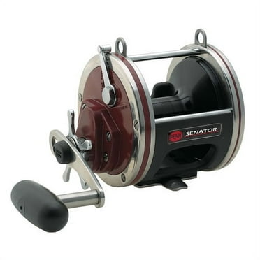 PENN Special Senator Star Drag, Size 113, Conventional Fishing Reel ...