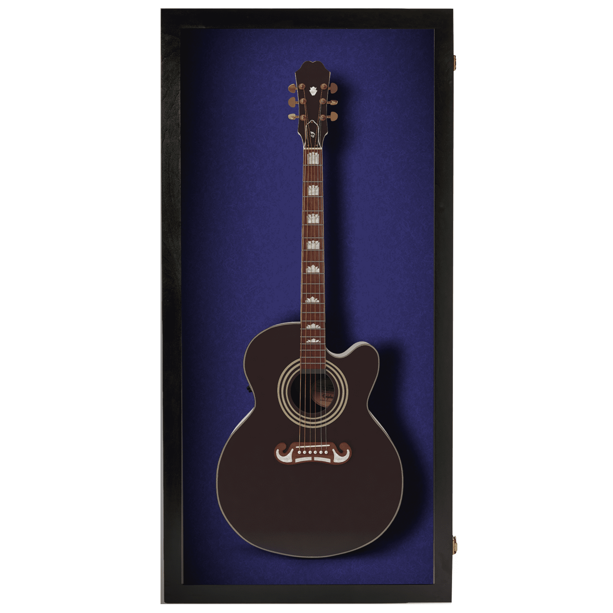 PENNZONI Acoustic Guitar Display Case, Clear Acrylic & Hardwood Cabinet ...