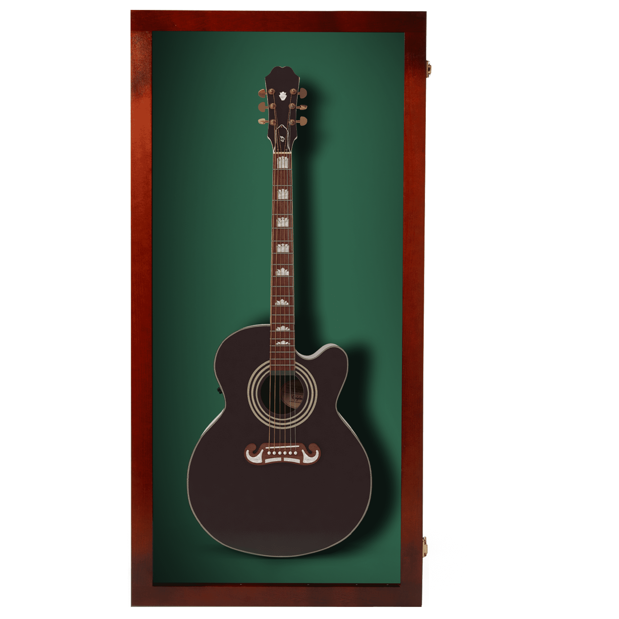 PENNZONI Acoustic Guitar Display Case, Clear Acrylic & Hardwood Cabinet ...