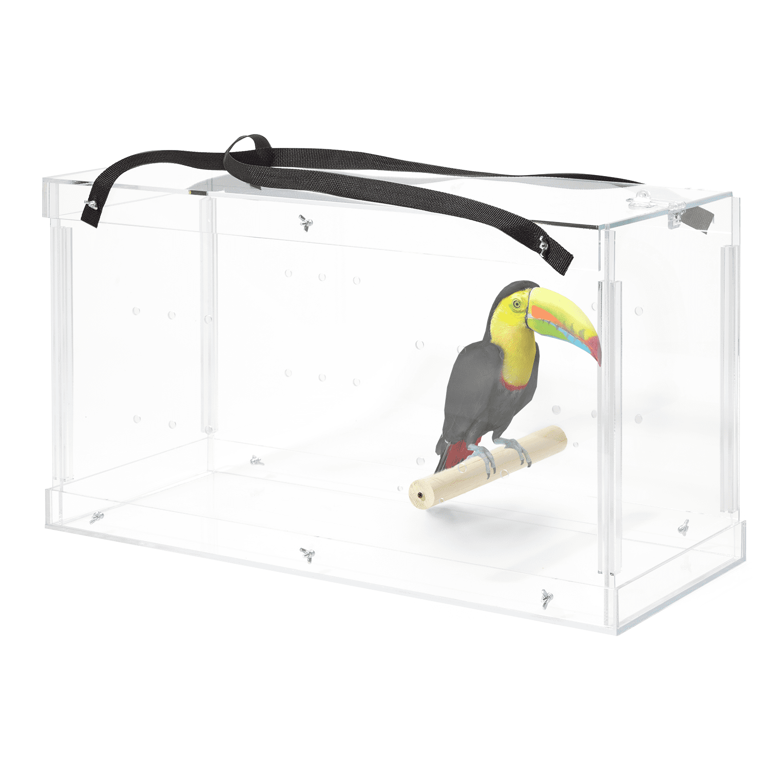 PENNZONI Large Bird Acrylic Travel Cage, Macaw & Parrot Carrier, Bird ...