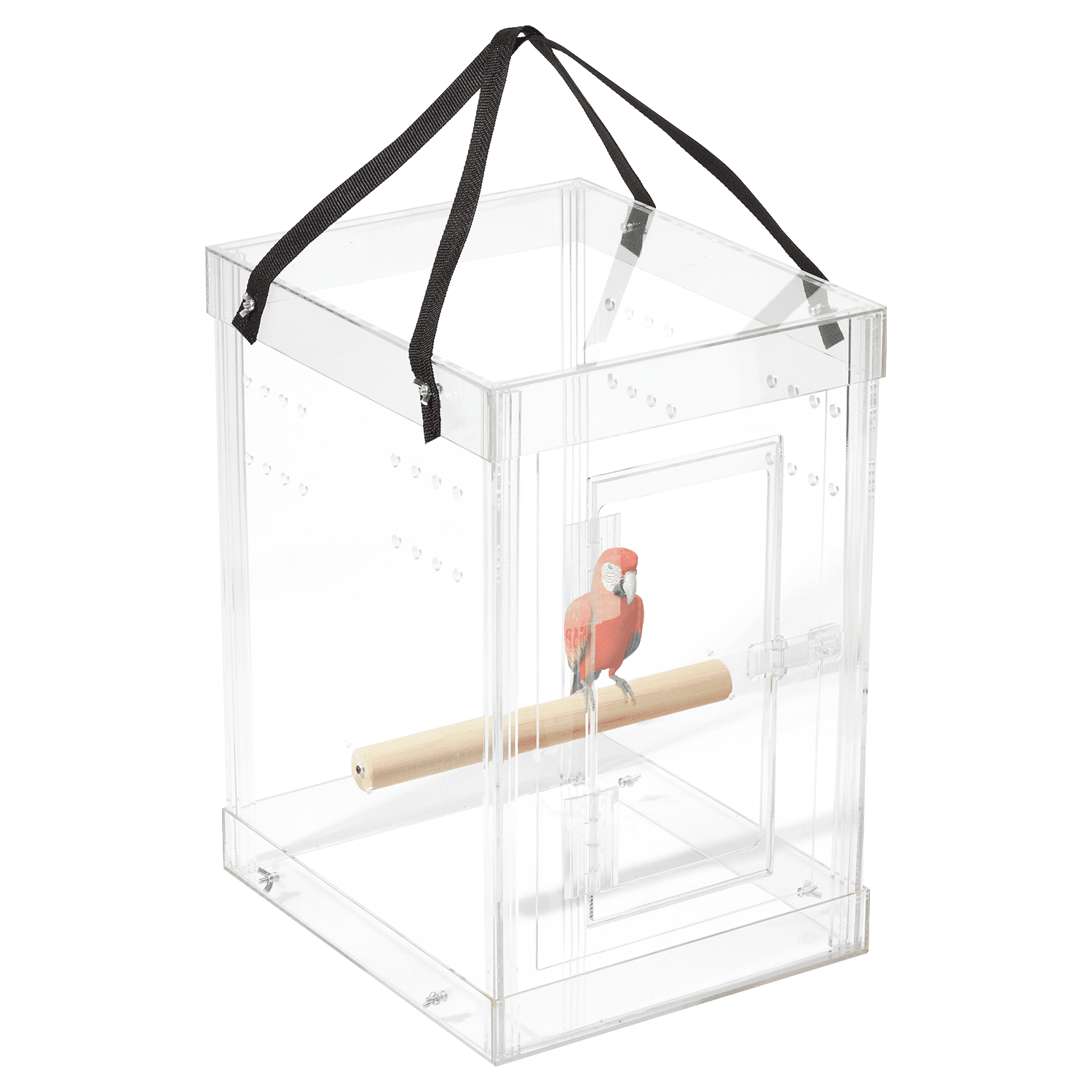 PENNZONI Medium Bird Carrier Display Case, Amazon Acrylic Travel Cage ...