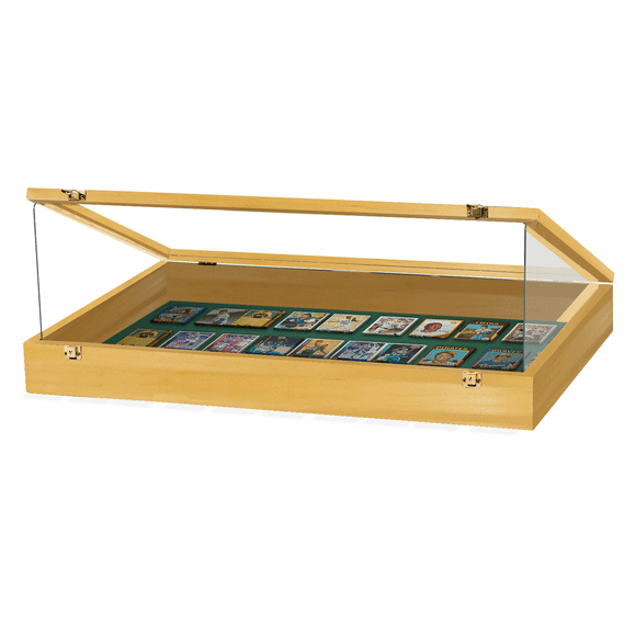 Portable Display Case