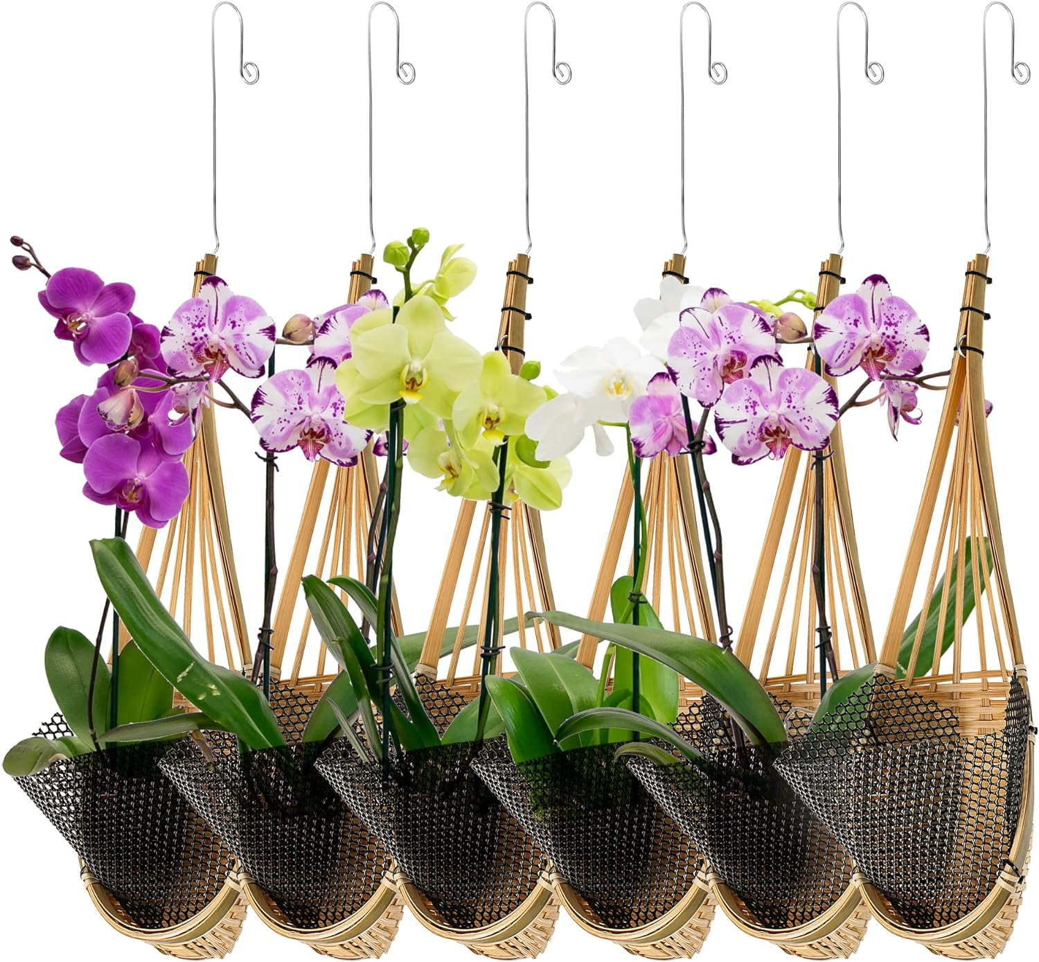 PENOVA Hanging Orchid Planter,6 Pack Thai Woven 5 Inch Orchid Hanging ...