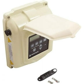 Pentair Pool Pumps in Pentair Pool Accessories - Walmart.com