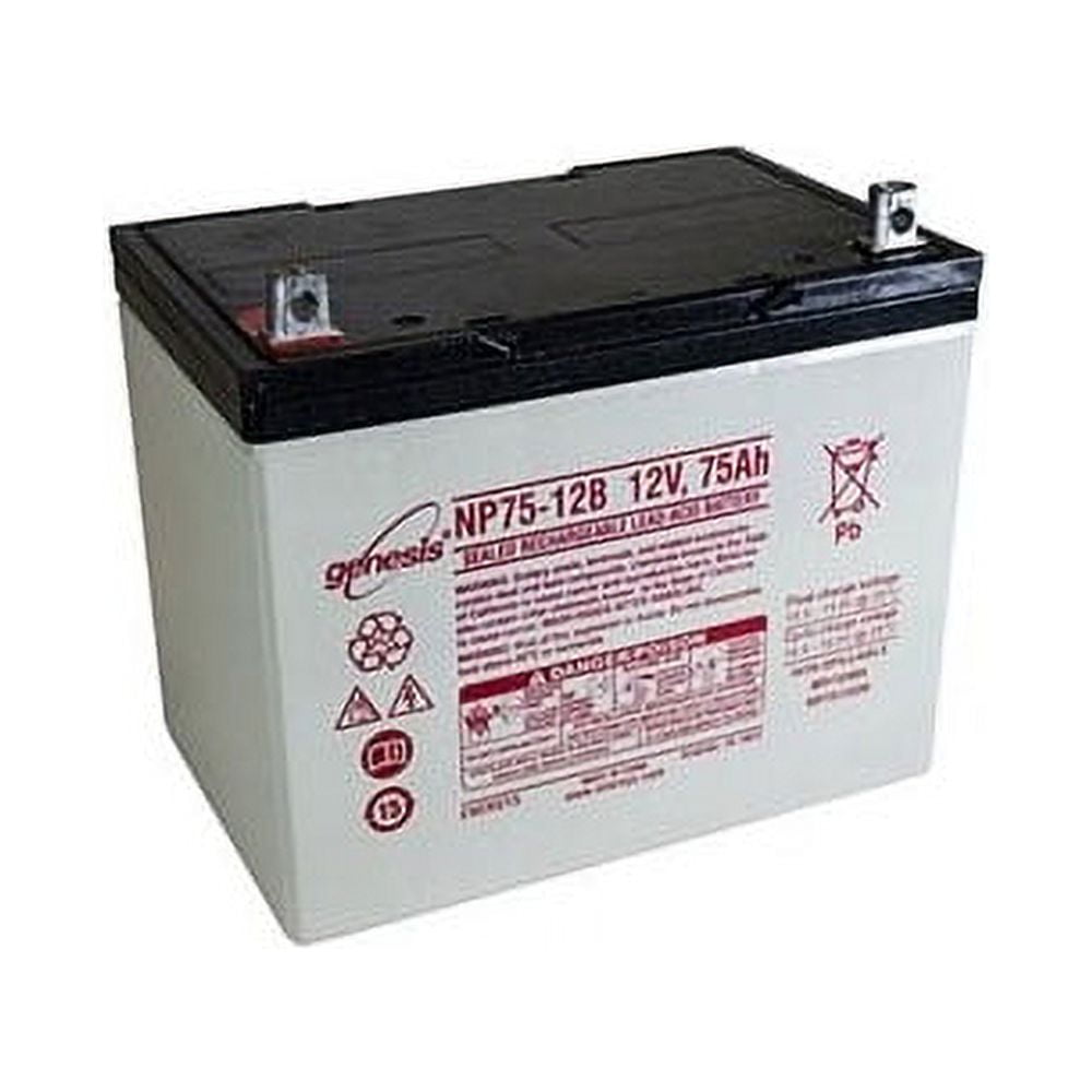PENTAIR WATER BAT75 75Ah AGM DeepCy Battery - Walmart.com