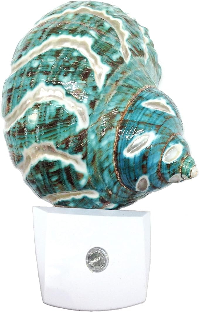 PEPPERLONELY Carved Jade Turbo Shells Night Light, Auto Sensor LED ...