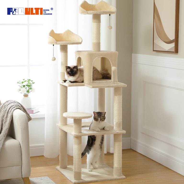 Cat Climbers Walmart Cheap Offers | www.elts.com.ph