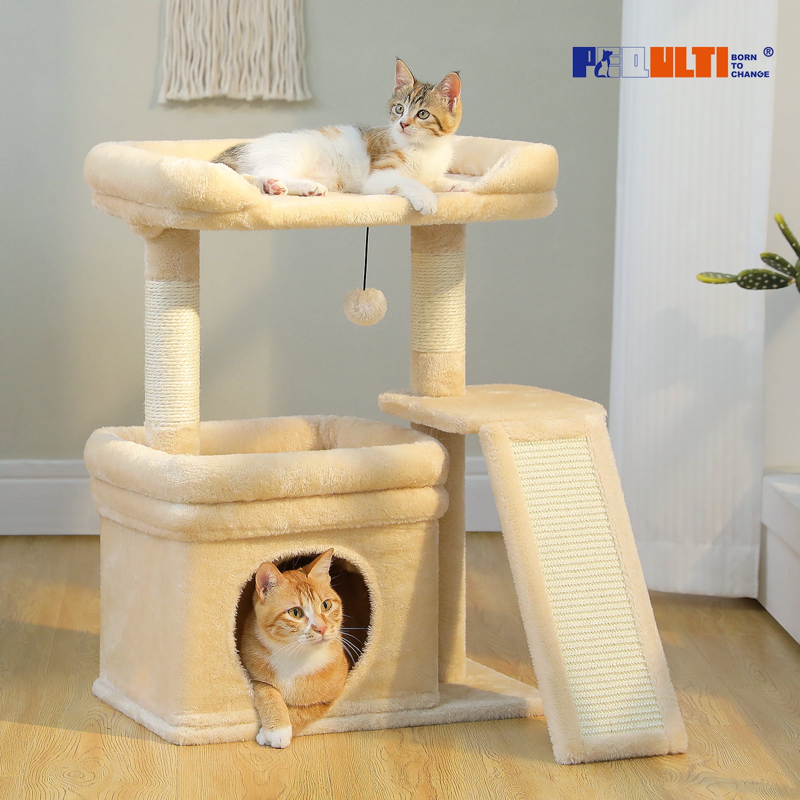 PEQULTI Small Cat Tree Tower for Indoor Cats Scratcher with Top Perch ...