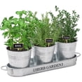 PERFNIQUE Indoor/Outdoor Herb Garden Planter Set, Kitchen Windowsill ...