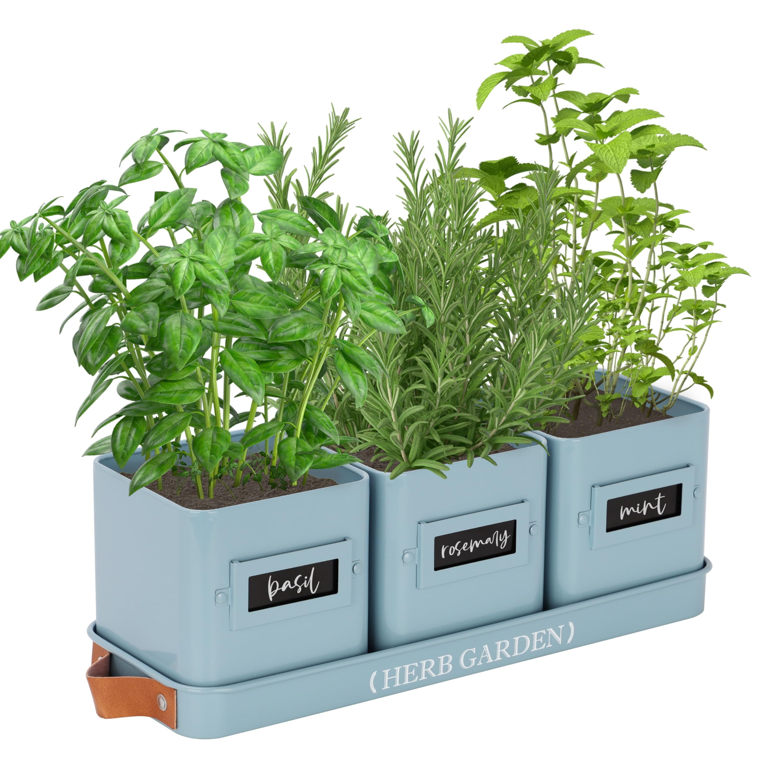 PERFNIQUE Indoor Herb Garden, Herb Garden Planter Set with Tray ...