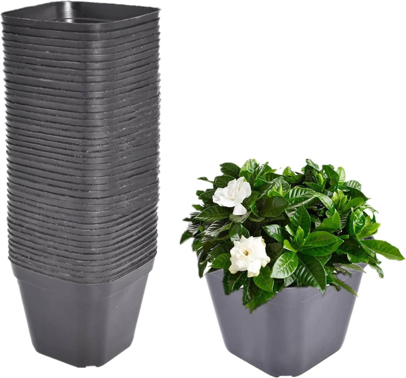 PET-U 100 PCS Square Plastic Plant Nursery Pots, Seedling Flower Plant ...