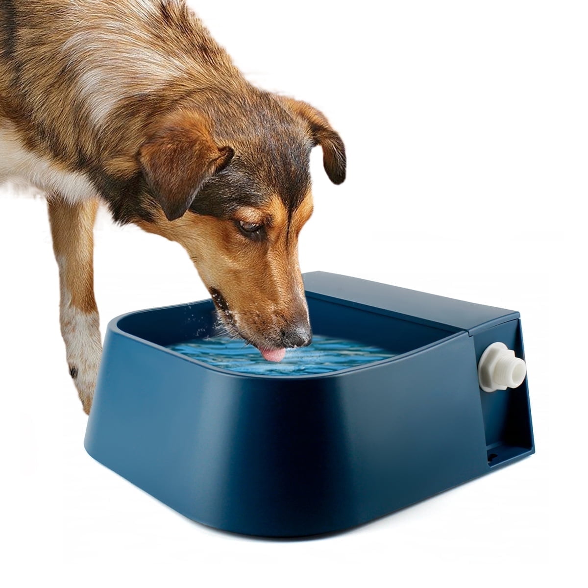 PETLESO Auto-Fill 2L Water Bowl for Dogs, Cats, Birds, Farm Animals ...