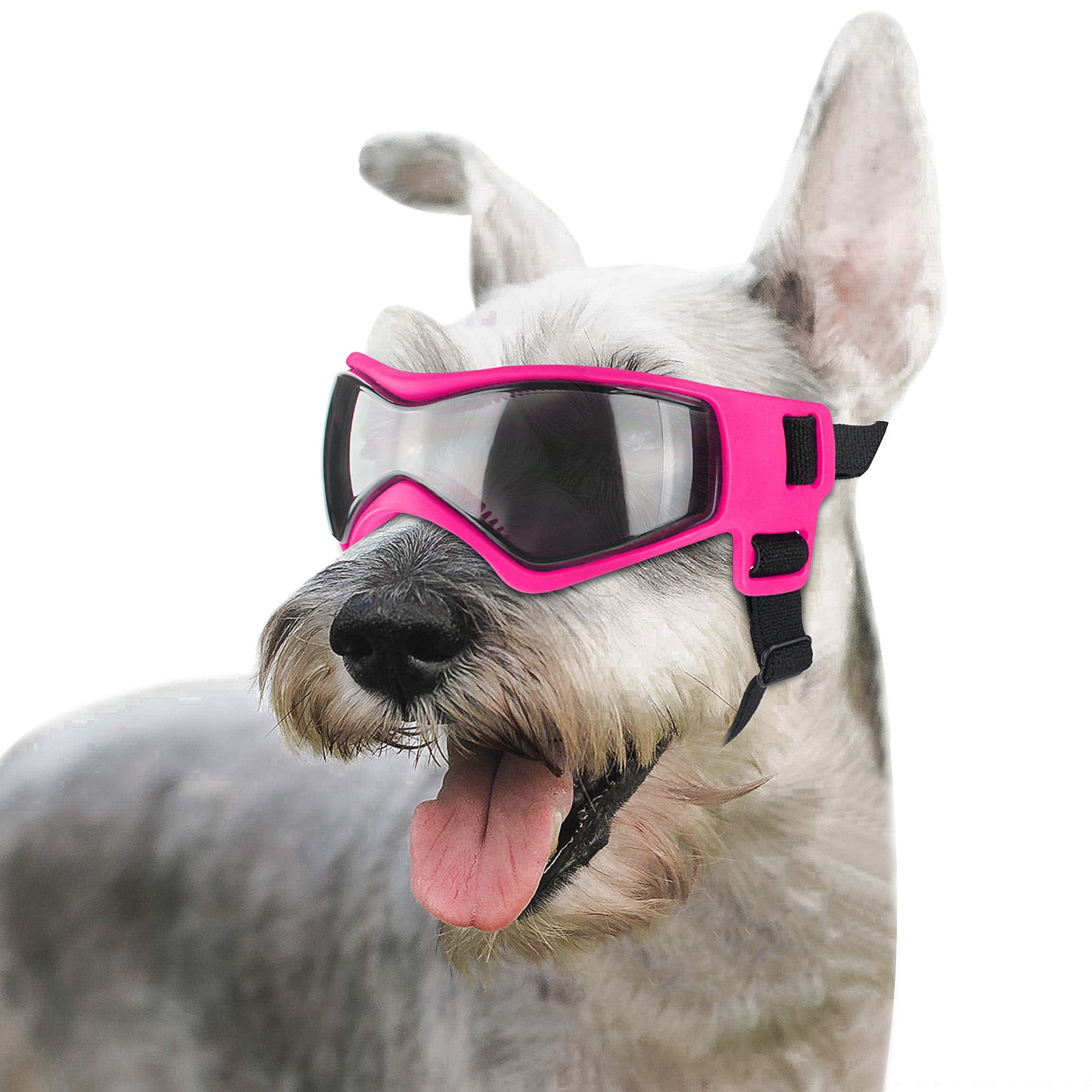 PETLESO Gog Goggle for Small Dog, Dog Sunglasses for Medium Breed UV ...