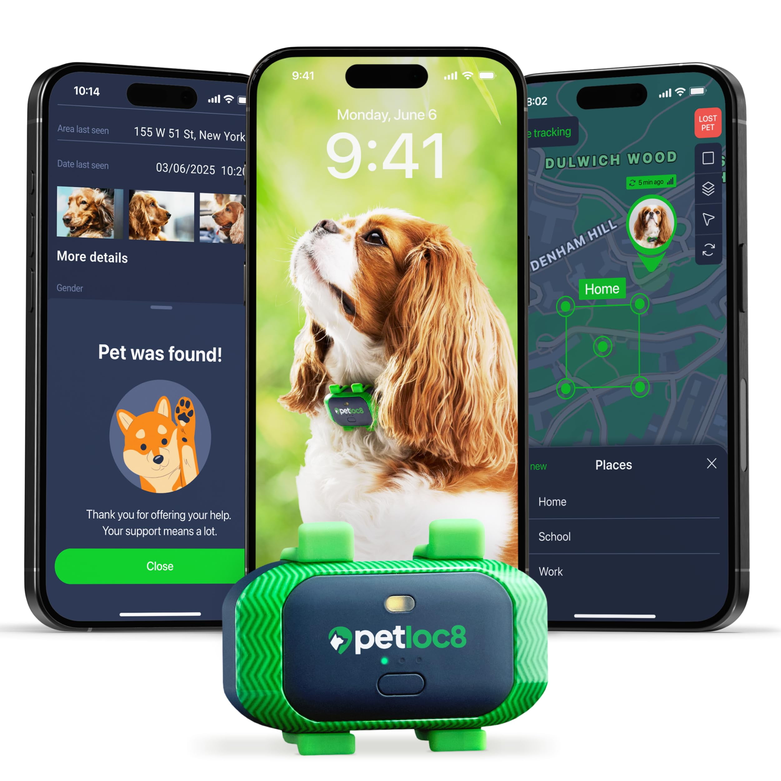 PETLOC8 Dog GPS Tracker with Smart Alerts & Geo-Fence - Real-Time ...