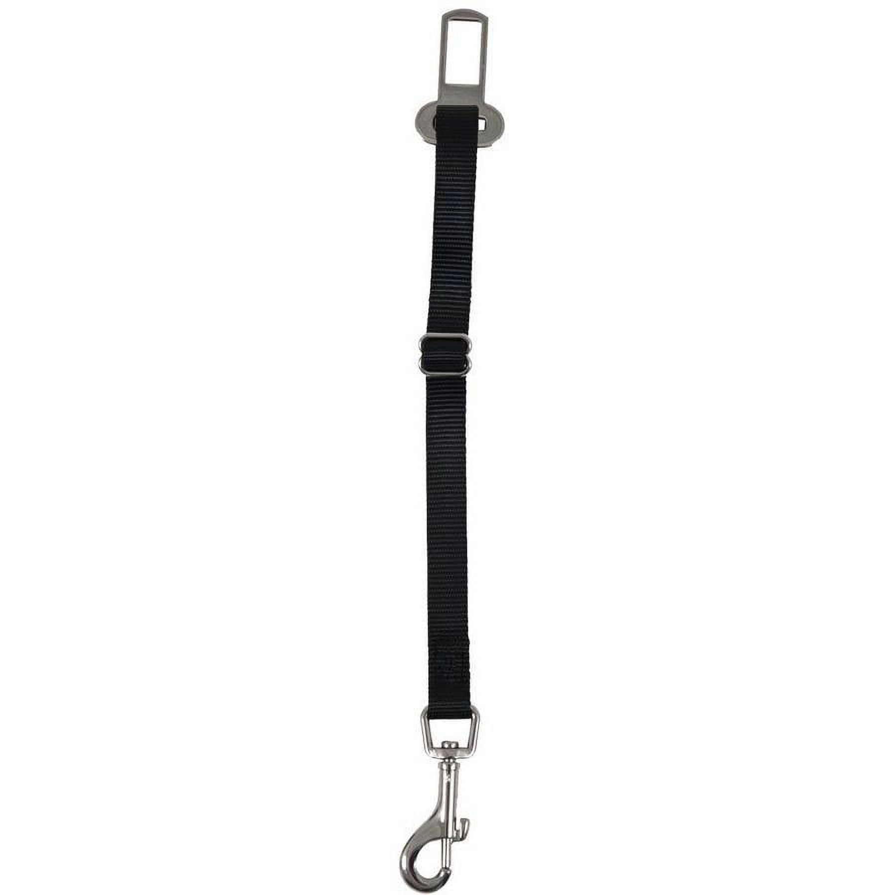 PETMATE 11480 Small/Medium Black Tether Clip - Walmart.com