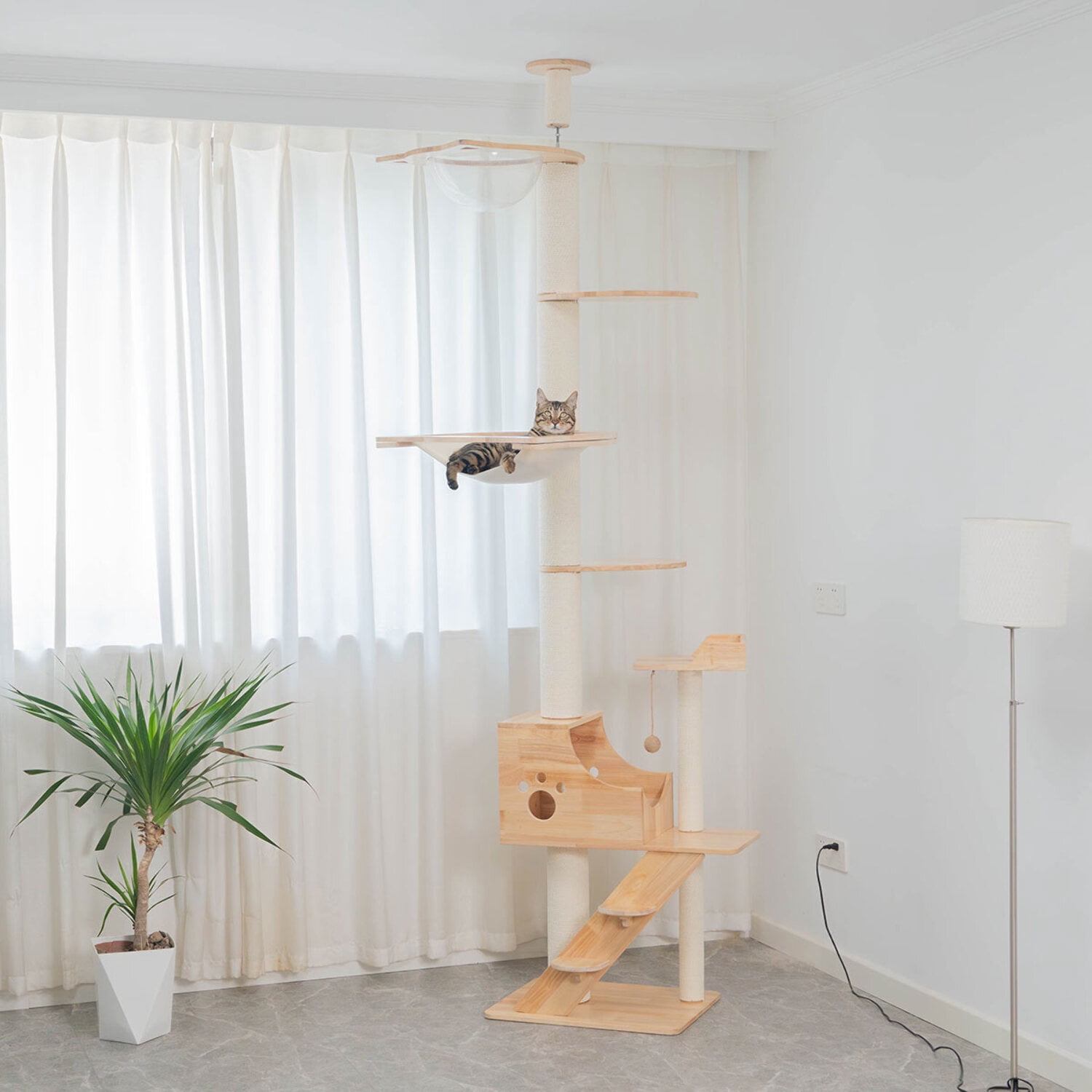 PETOMG Floor to Ceiling Cat Tree, Rubber Wood, No Drilling, Adjustable ...