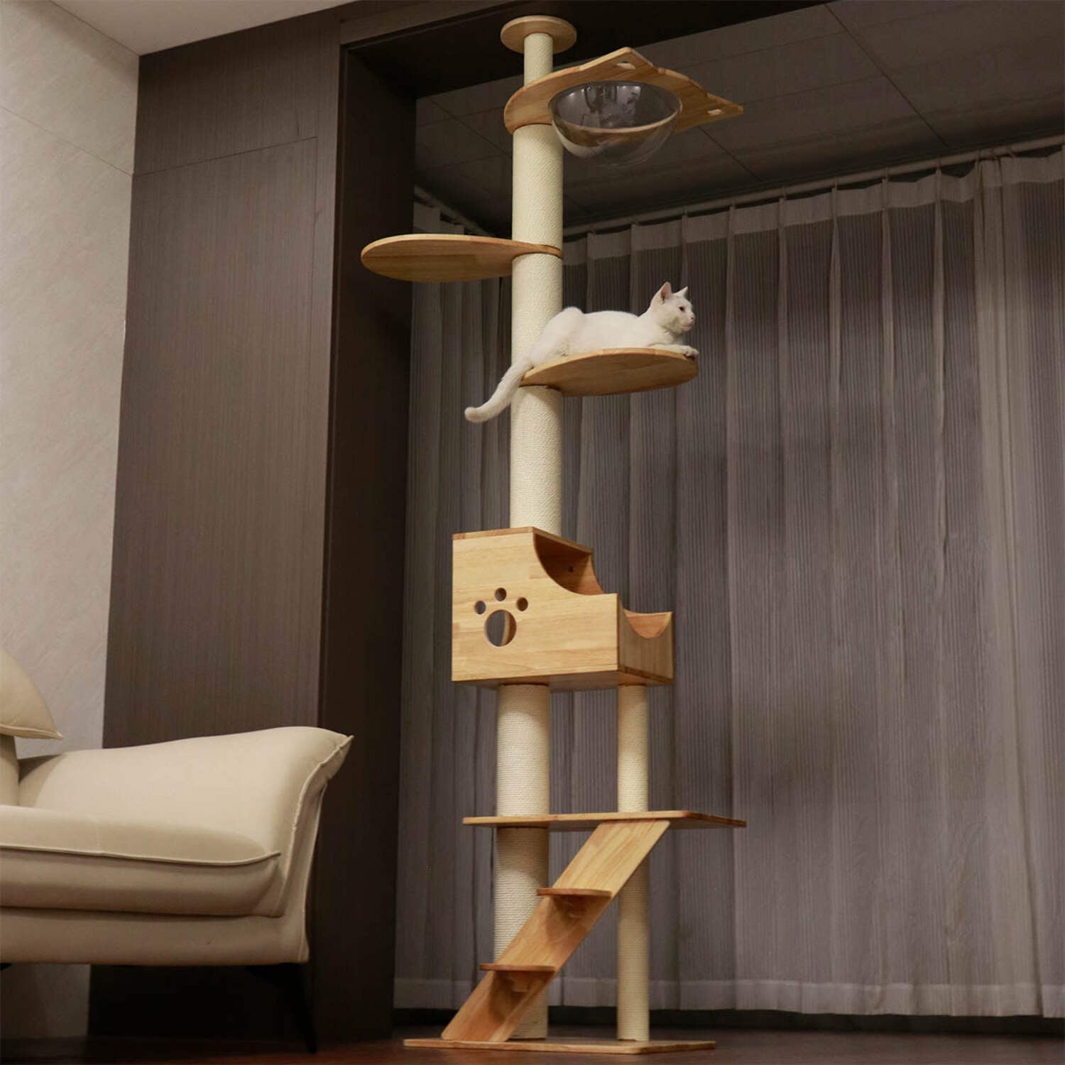 PETOMG Rubber Wood Floor to Ceiling Cat Tree, No Drilling, Adjustable ...
