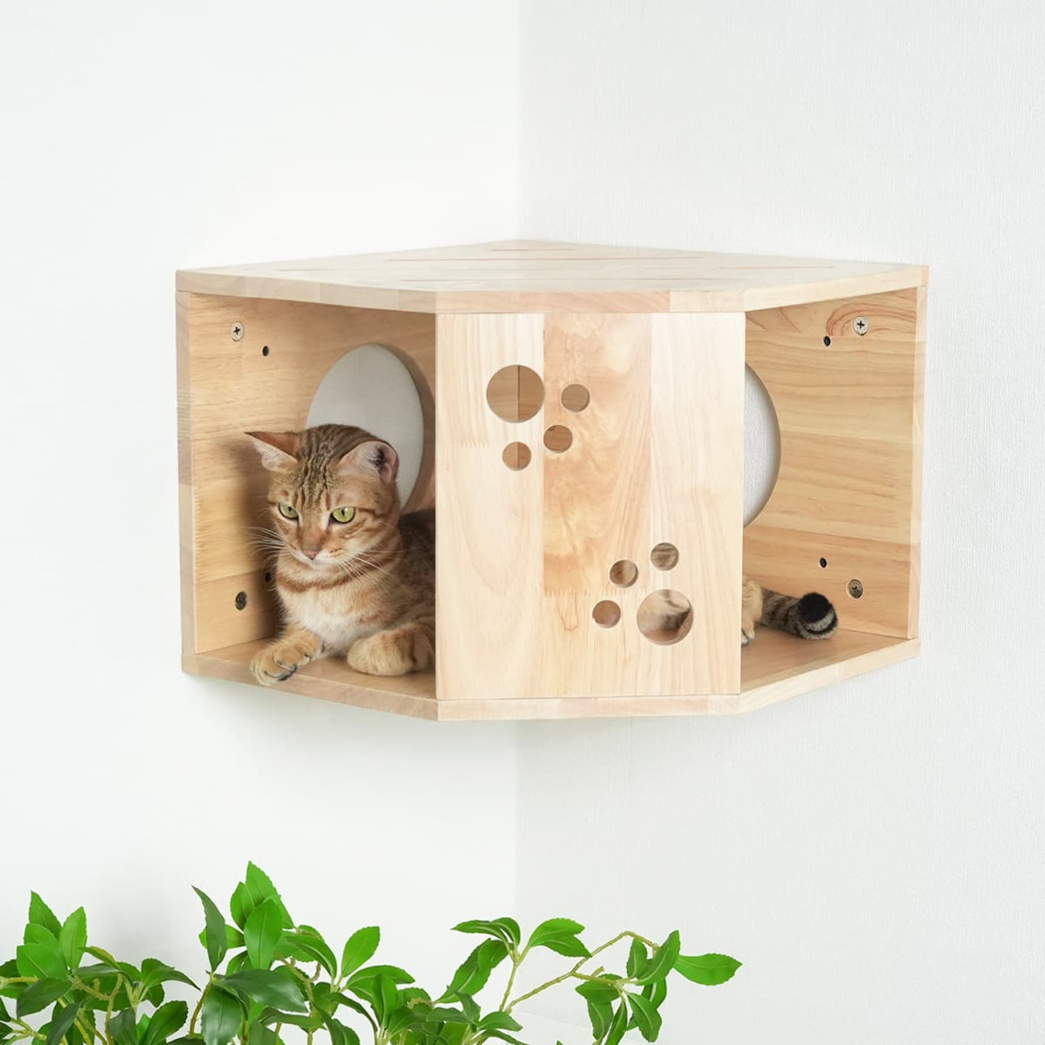 PETOMG Wall Mounted Cat House, Cat Shelf, Cat Perch| Rubberwood ...
