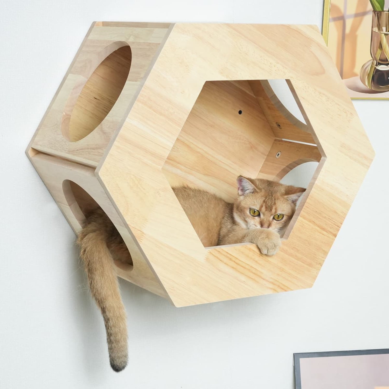 PETOMG Wall Mounted Cat House, Cat Wall Shelf, Large Cat Wall Bed ...
