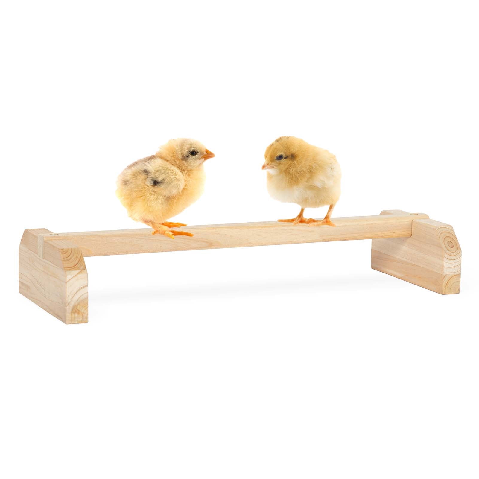 PETSFIT Chick Roosting Bar Prevent Rotation Design, Solid Wooden ...