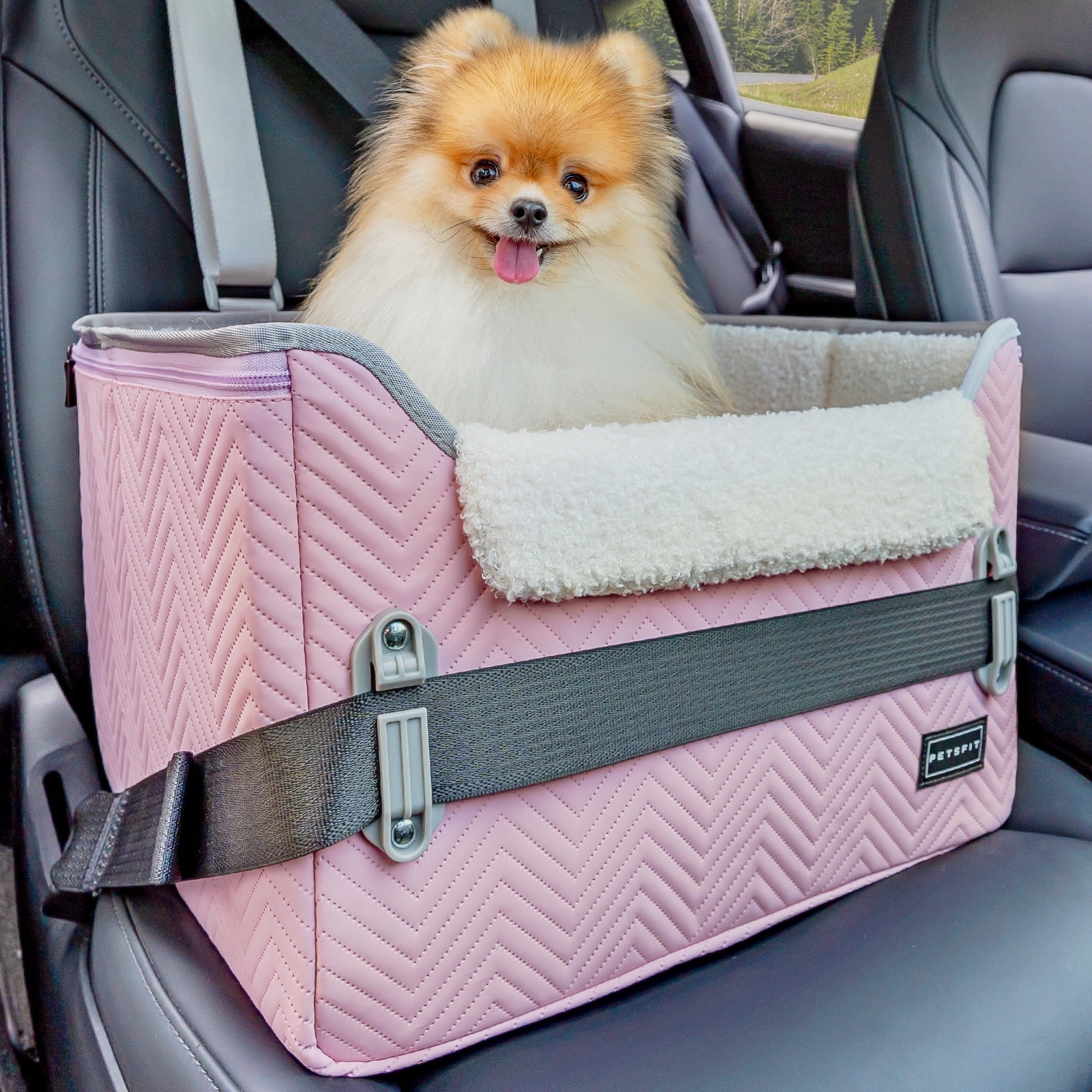 PETSFIT Dog Car Seats for Small Dogs, Portable Puppy Car Saet for Car ...