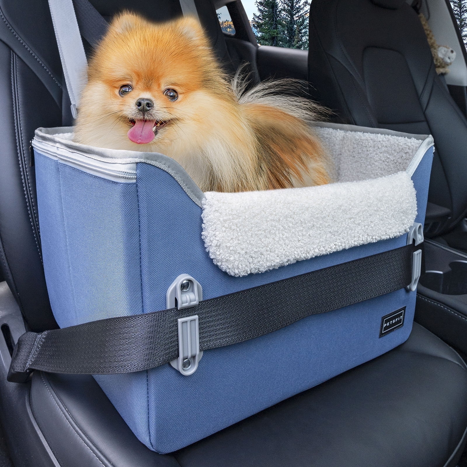 PETSFIT Small Dog Car Seat, Puppy Portable Dog Booster seat for Car ...