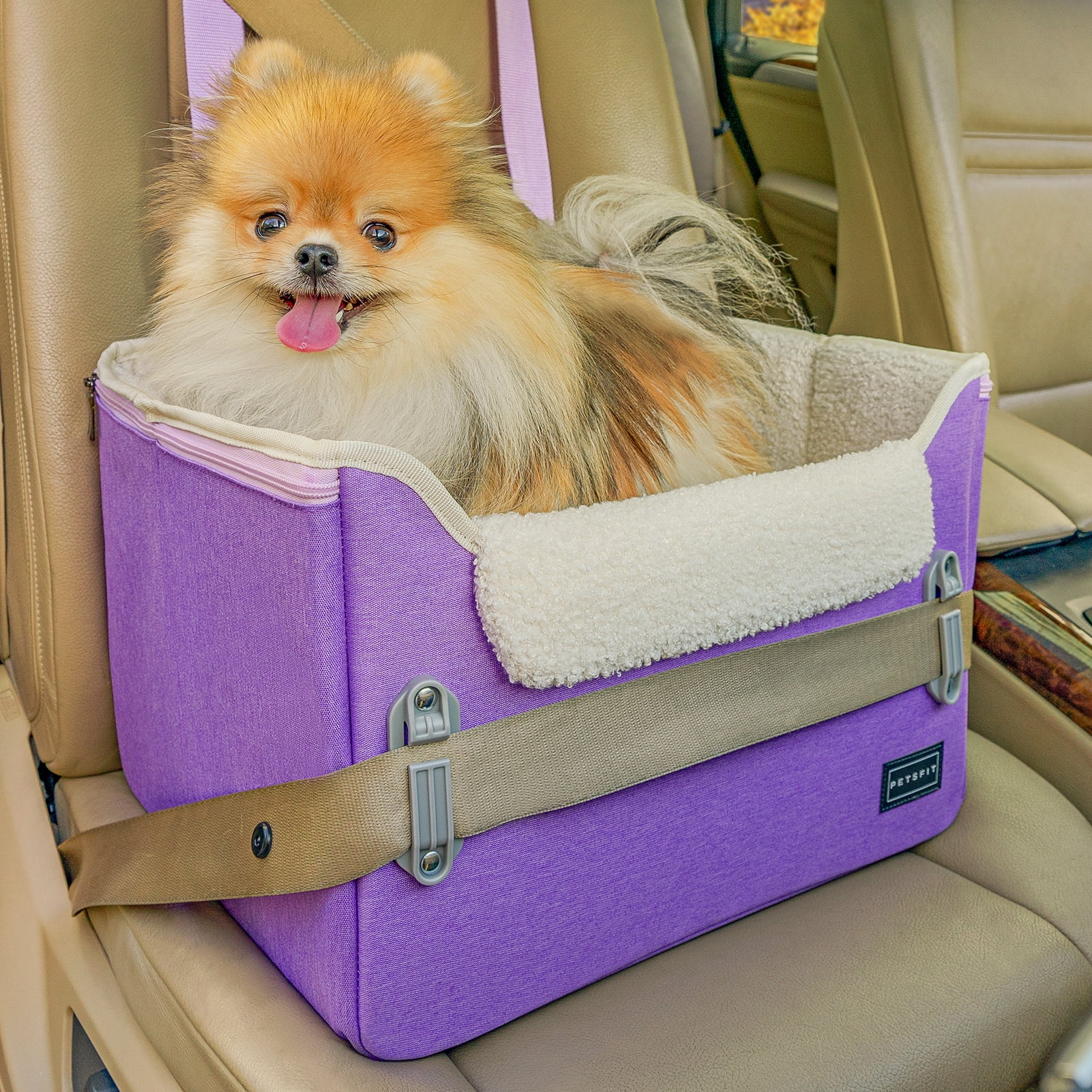 PETSFIT Small Dog Car Seat, Puppy Portable Dog Booster seat for Car ...